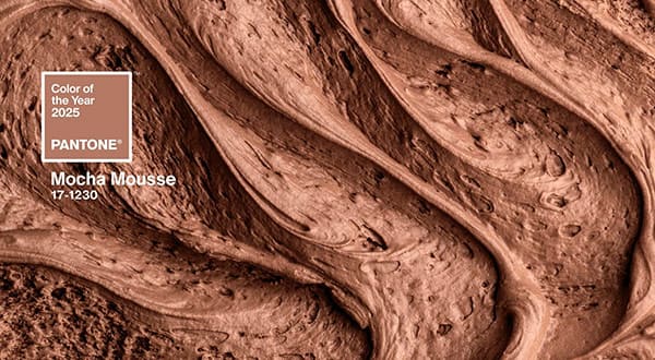 Pantone 17-1230 Moucha Mousse - A Cor do Ano. - WCRIA Design Criativo